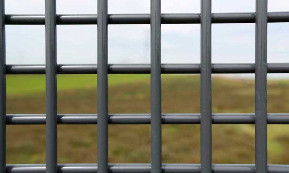 SecuriForce Heavy Duty Mesh - Bear Mountain Security